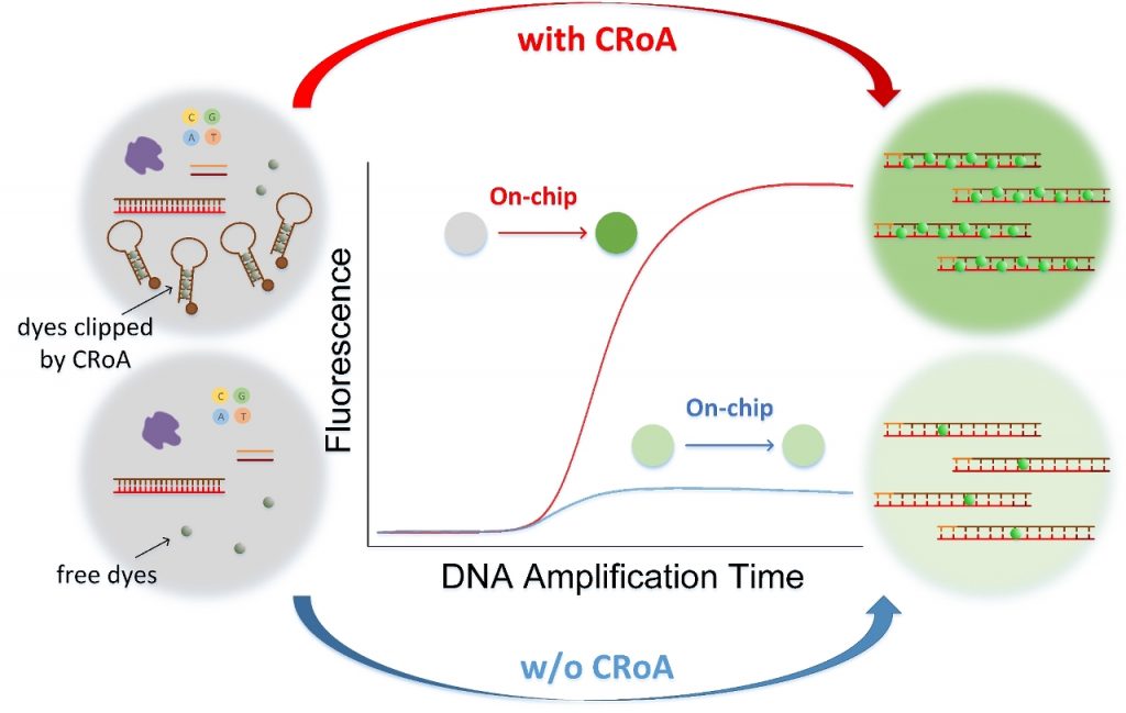 UM achieves new breakthrough in nucleic acid analysis technique – Macao ...