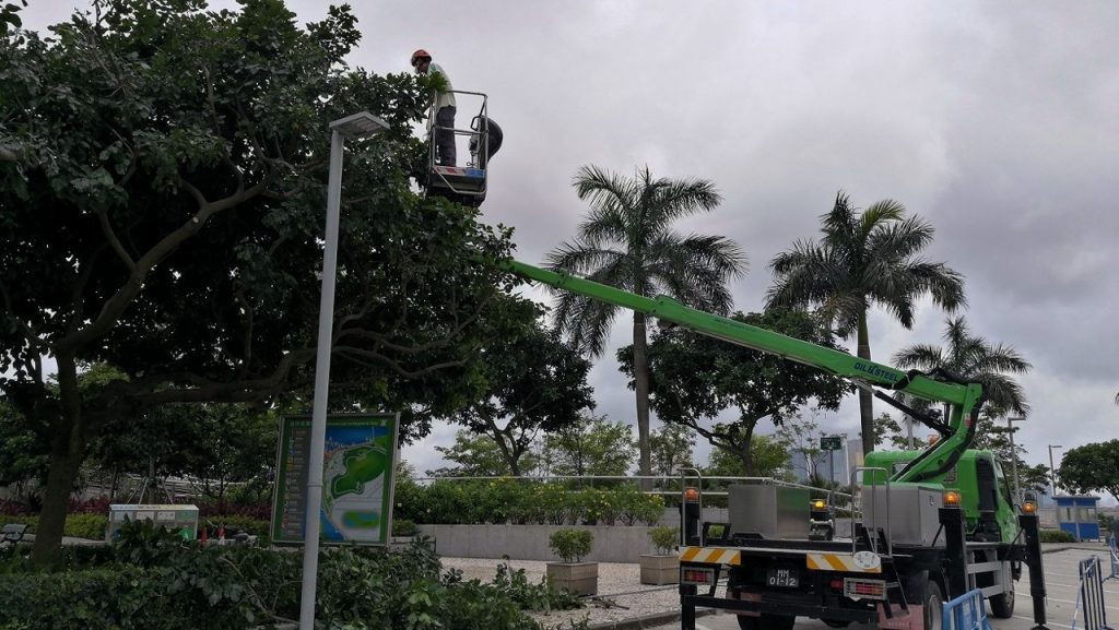 Inspection, management and protection of trees during typhoon season ...