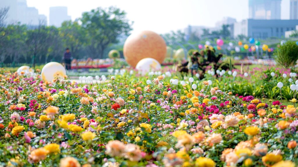 “Pristine Planet – Winter Flower Show 2023” opens tomorrow – Macao SAR ...